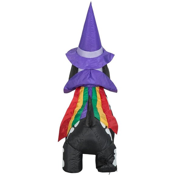 No brand / Not sure | Holiday | Rainbow Witch Dog Halloween Airblown ...